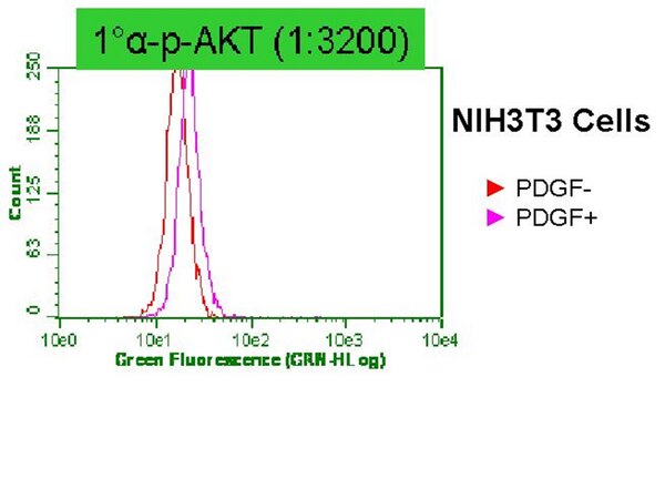 Akt phosphorylation Pathway Explorer MiniPack | 15-101